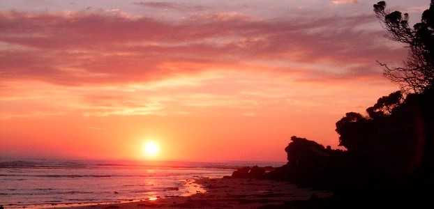 Blog: Shakespeare’s Brain | MARK HELLMAN